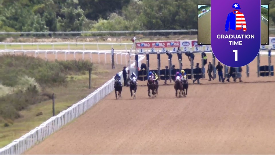 Racing Today - Fairview SA 29 Dec 2023 Race 2