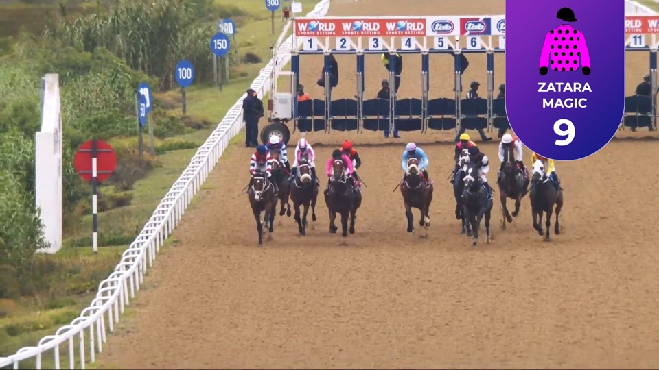 Racing Today - Fairview SA 29 Dec 2023 Race 6