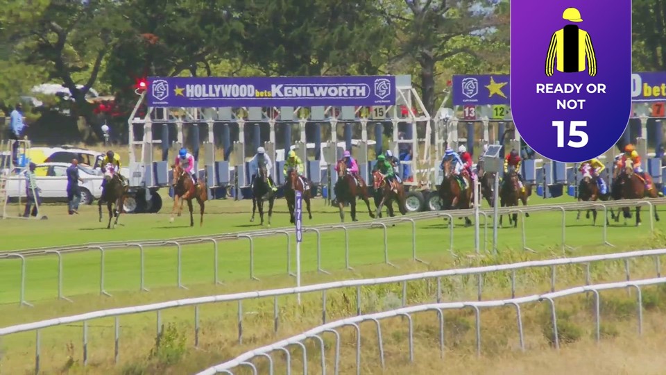 Racing Today - Hollywoodbets Kenilworth SA 22 Dec 2022 Race 5