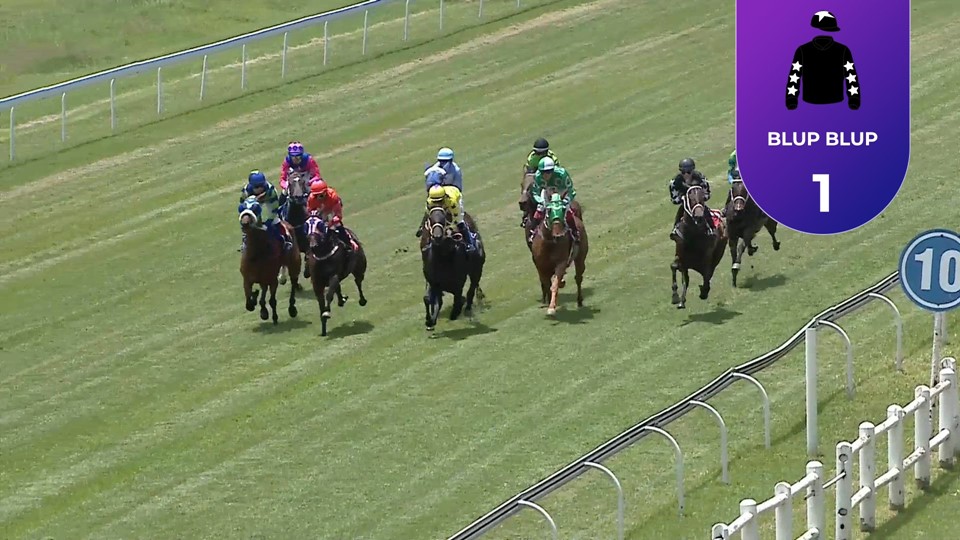 Racing Today - Turffontein SA 03 Feb 2024 Race 1