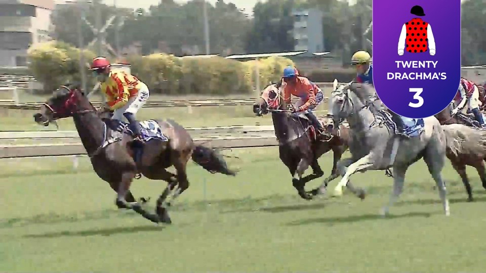 Racing Today - Turffontein SA 23 Dec 2023 Race 3