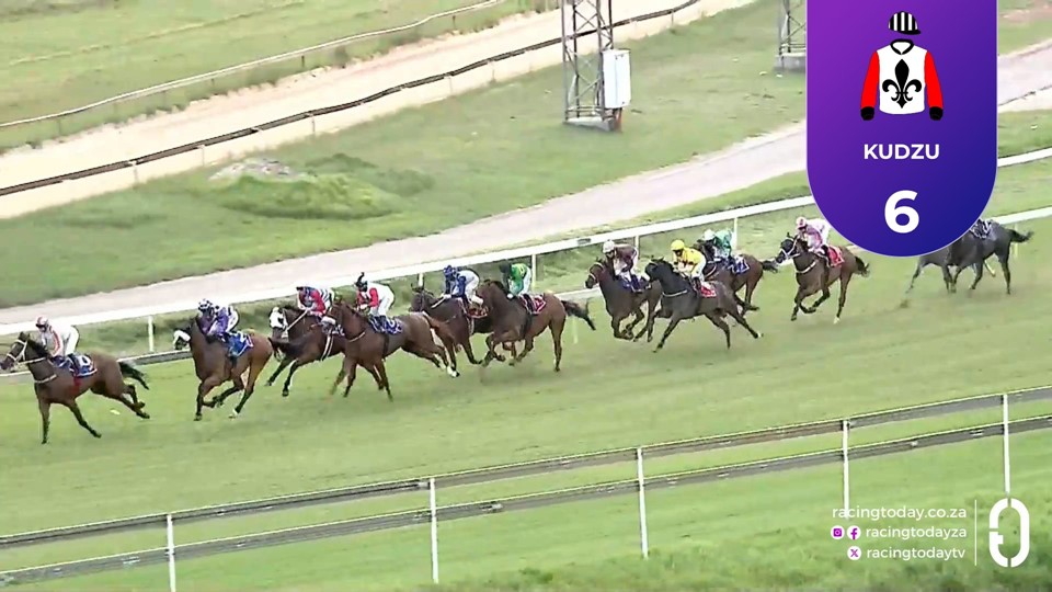 Racing Today - Turffontein SA 27 Feb 2025 Race 8