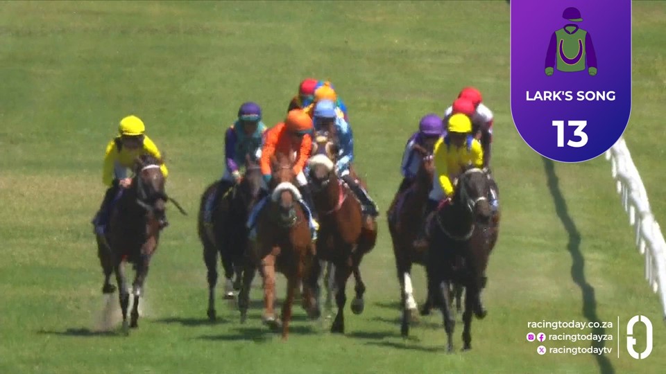 Racing Today - Hollywoodbets Kenilworth SA 13 Jan 2026 Race 5